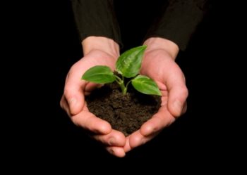 article - from little things big things grow - Change Factory