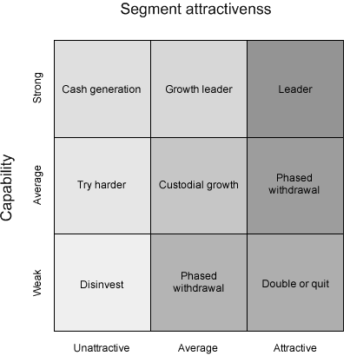 Good strategic choices - Directional Policy Matrix | Change Factory